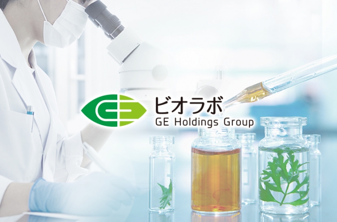 完全子会社間の吸収合併に関するお知らせ | ニュースリリース | 株式会社GEホールディングス – GE Holdings